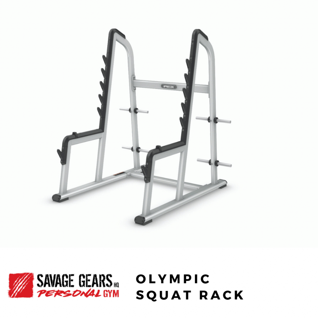 Leg Press Machine (Plate Loaded) - Savage Gears